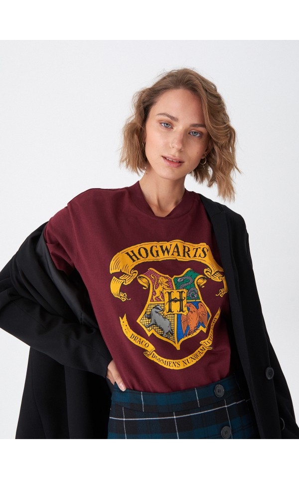 T-shirt Harry Potter, HOUSE, XB420-93X